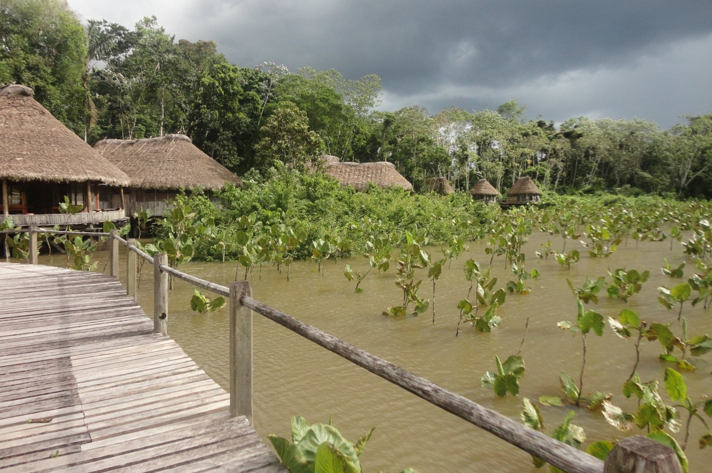 Kapawi Eco Lodge | We Travel